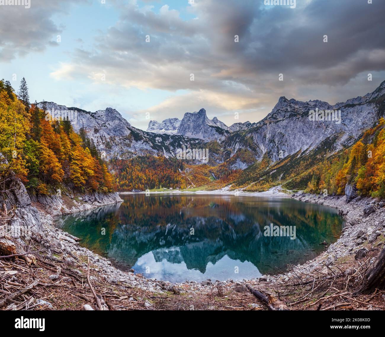 Tree stumps after deforestation near Hinterer Gosausee lake, Upper ...
