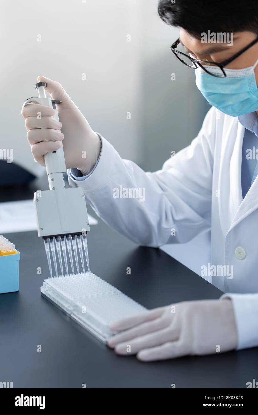 Chinese scientist pipetting samples in laboratory Stock Photo - Alamy