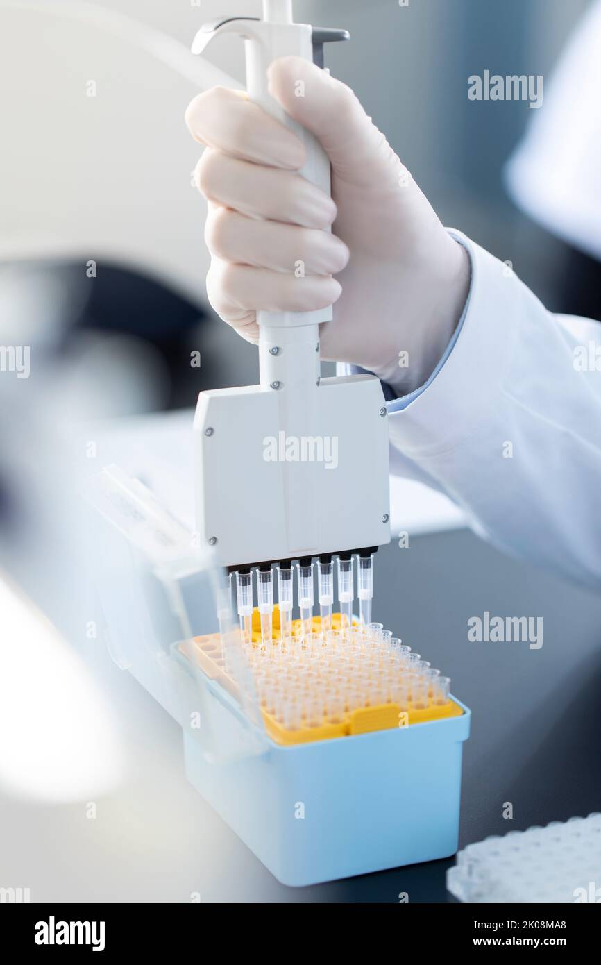 Chinese scientist pipetting samples in laboratory Stock Photo - Alamy