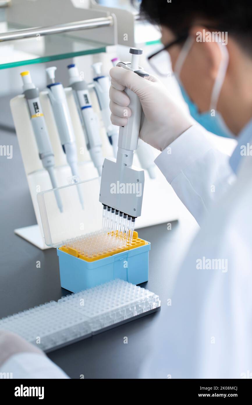 Chinese scientist pipetting samples in laboratory Stock Photo - Alamy