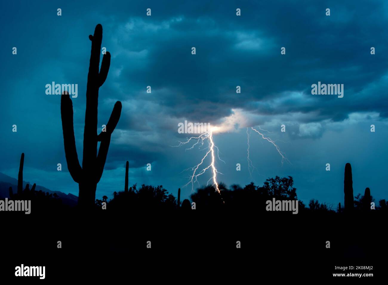 Sonoran Desert Lightning