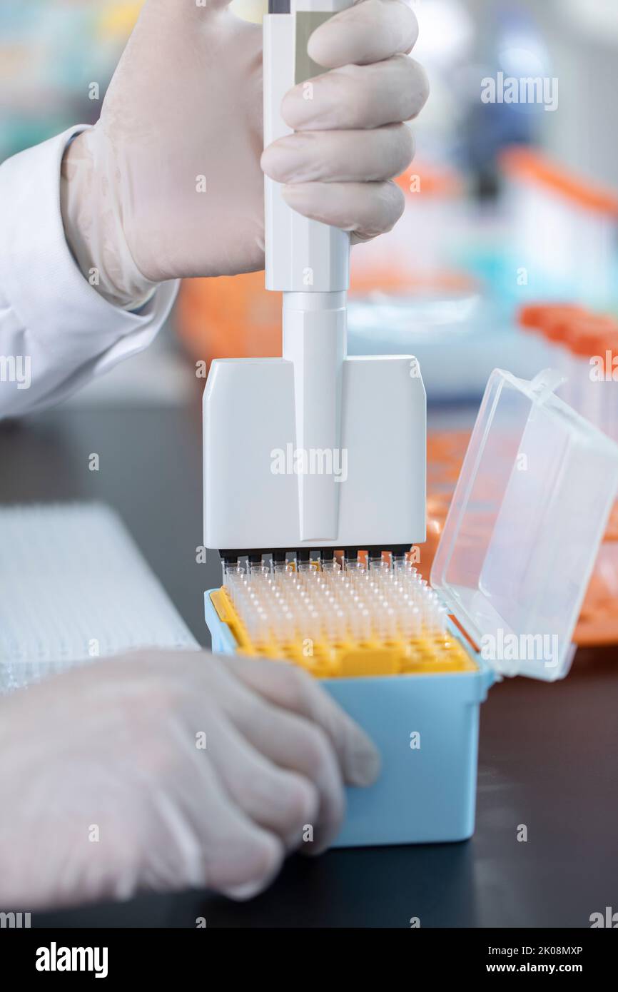 Chinese scientist pipetting samples in laboratory Stock Photo - Alamy