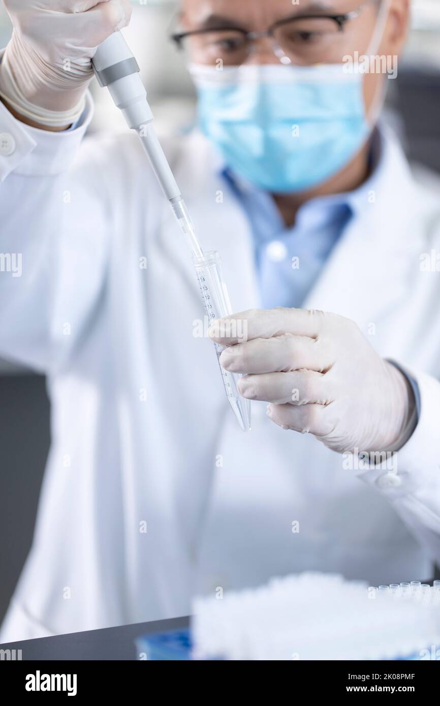 Chinese scientist pipetting samples in laboratory Stock Photo - Alamy