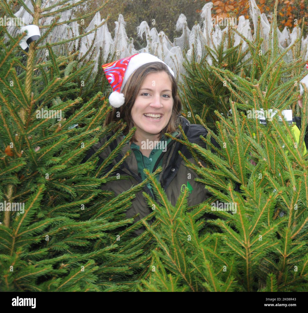 FOREST RANGER EMILY BRAITHWAITE WITH CHRISTMAS TREES THAT WENT ON SALE ...