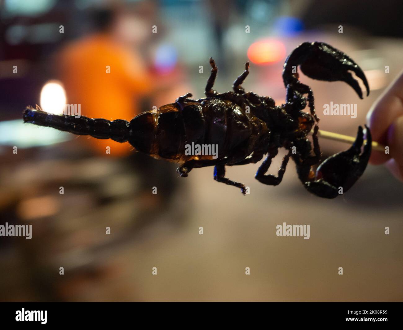 Baked scorpion at local Asian market, Siem Reap , Cambodia Stock Photo ...