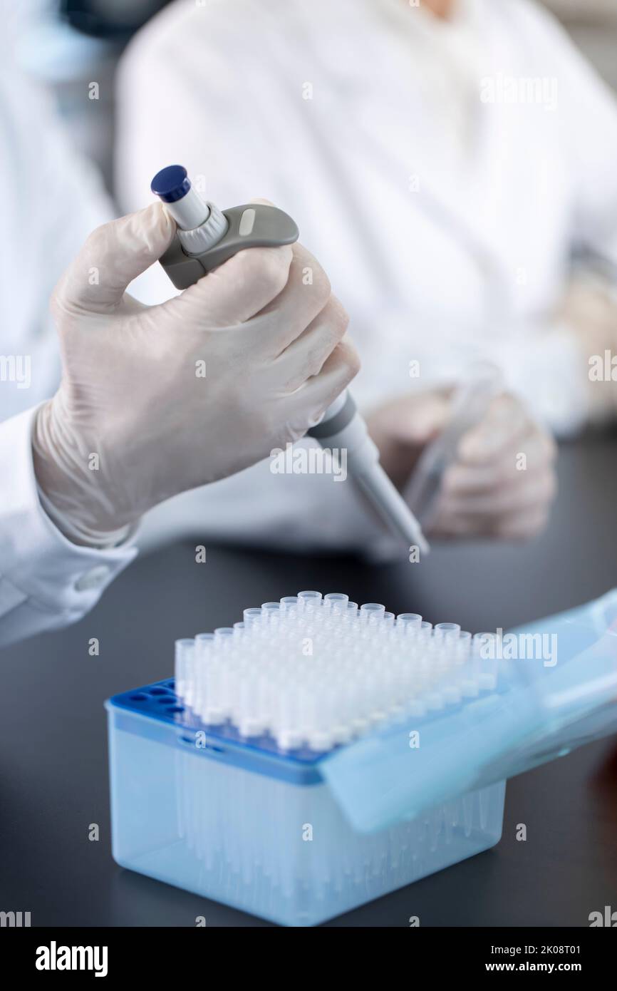 Chinese scientist pipetting samples in laboratory Stock Photo - Alamy