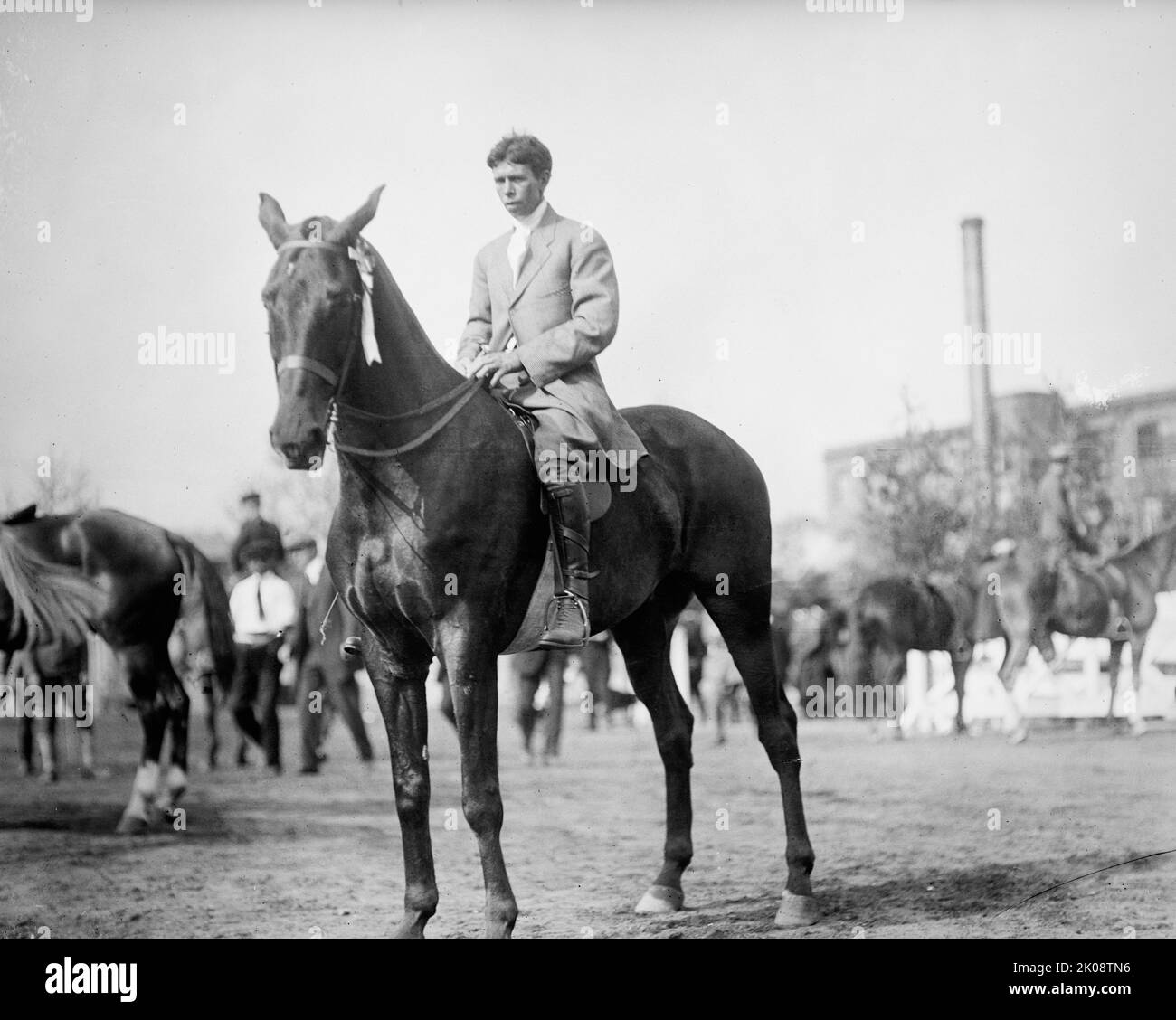 Horse shows Black and White Stock Photos & Images - Alamy