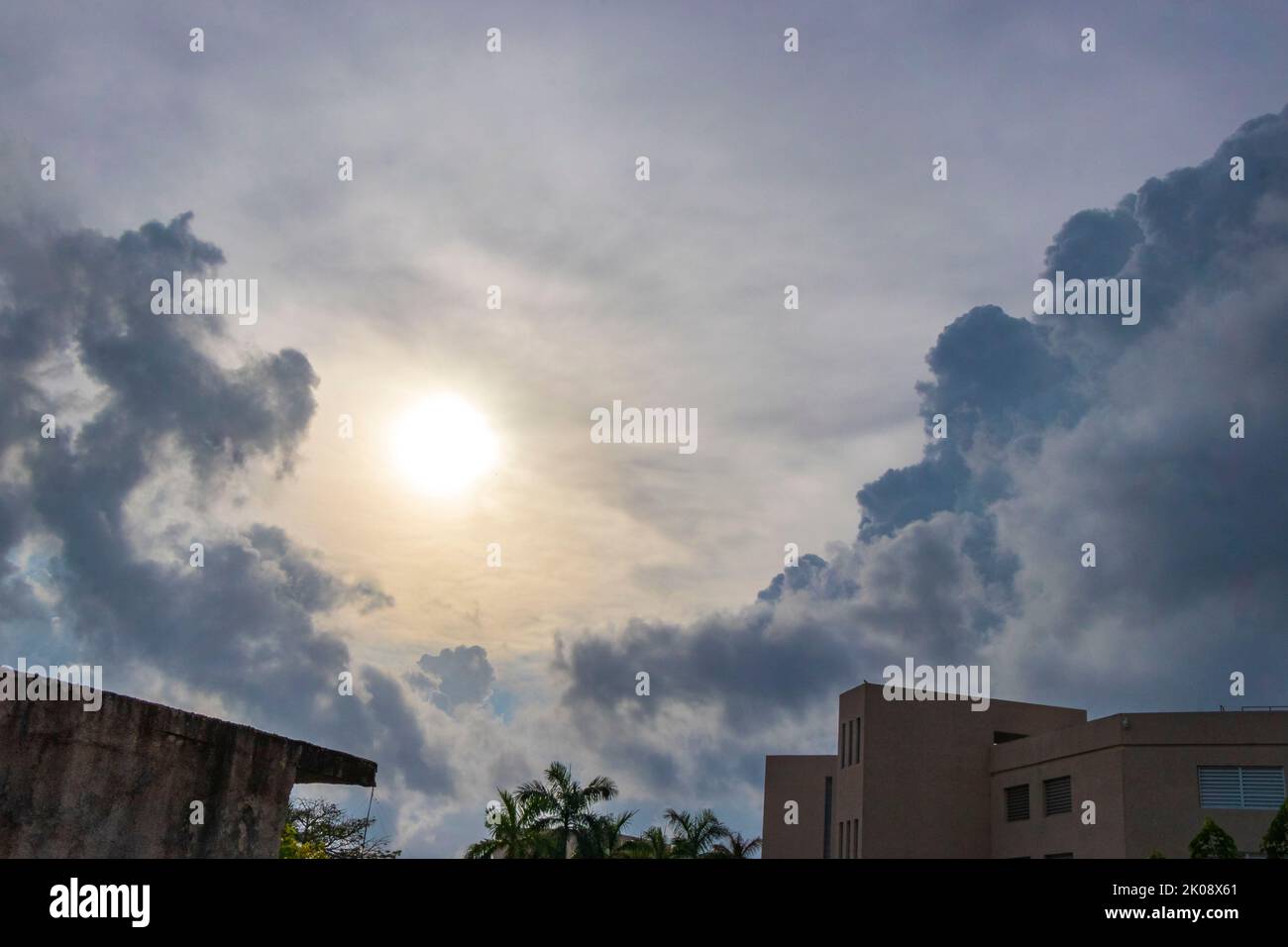 Tropical natural mexican palm trees and resort hotel building with ...
