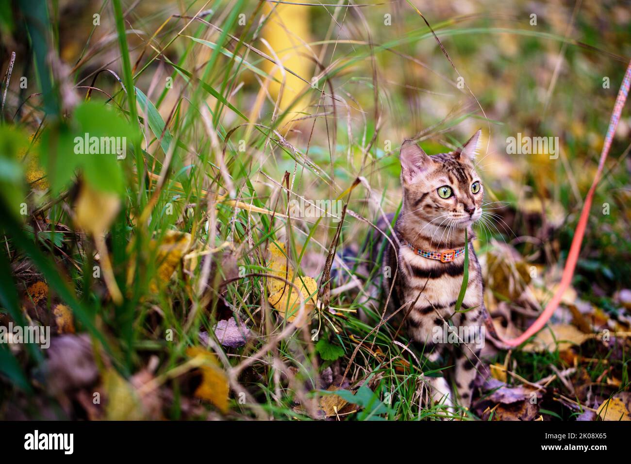 Playful outdoor environment hi-res stock photography and images - Alamy
