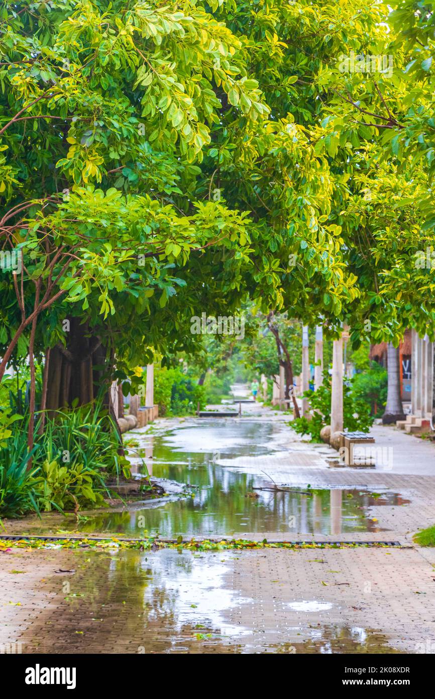 Hurricane 2021 in Playa del Carmen Quintana Roo Mexico extreme wind ...