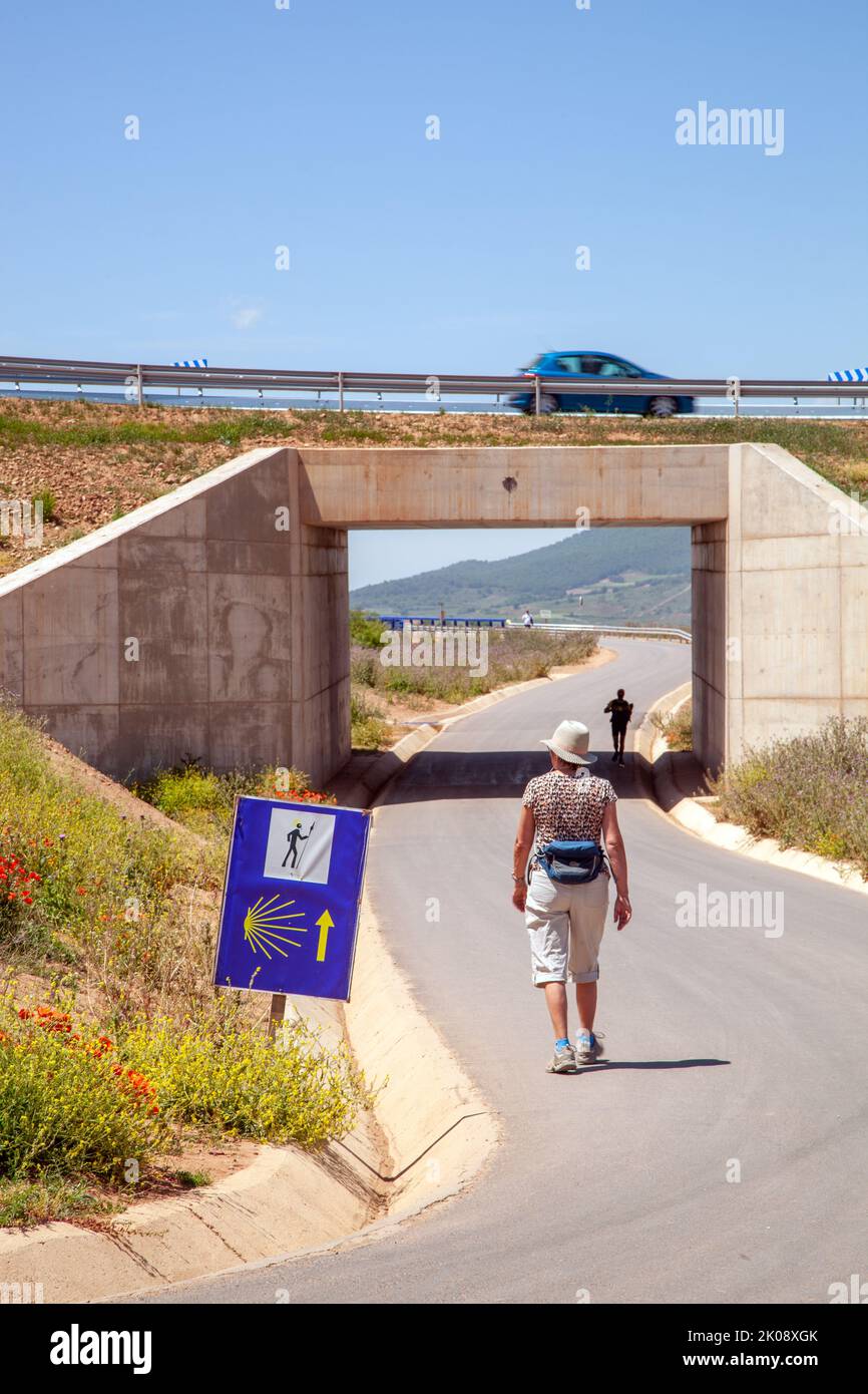Pilgrim walking the Camino de Santiago, the way of St James trail near ...