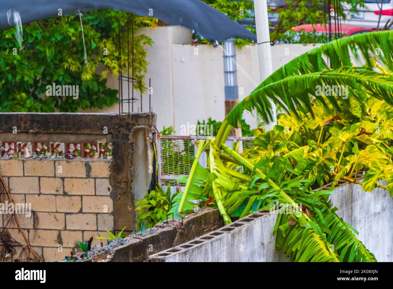 Hurricane 2021 in Playa del Carmen Quintana Roo Mexico extreme wind ...