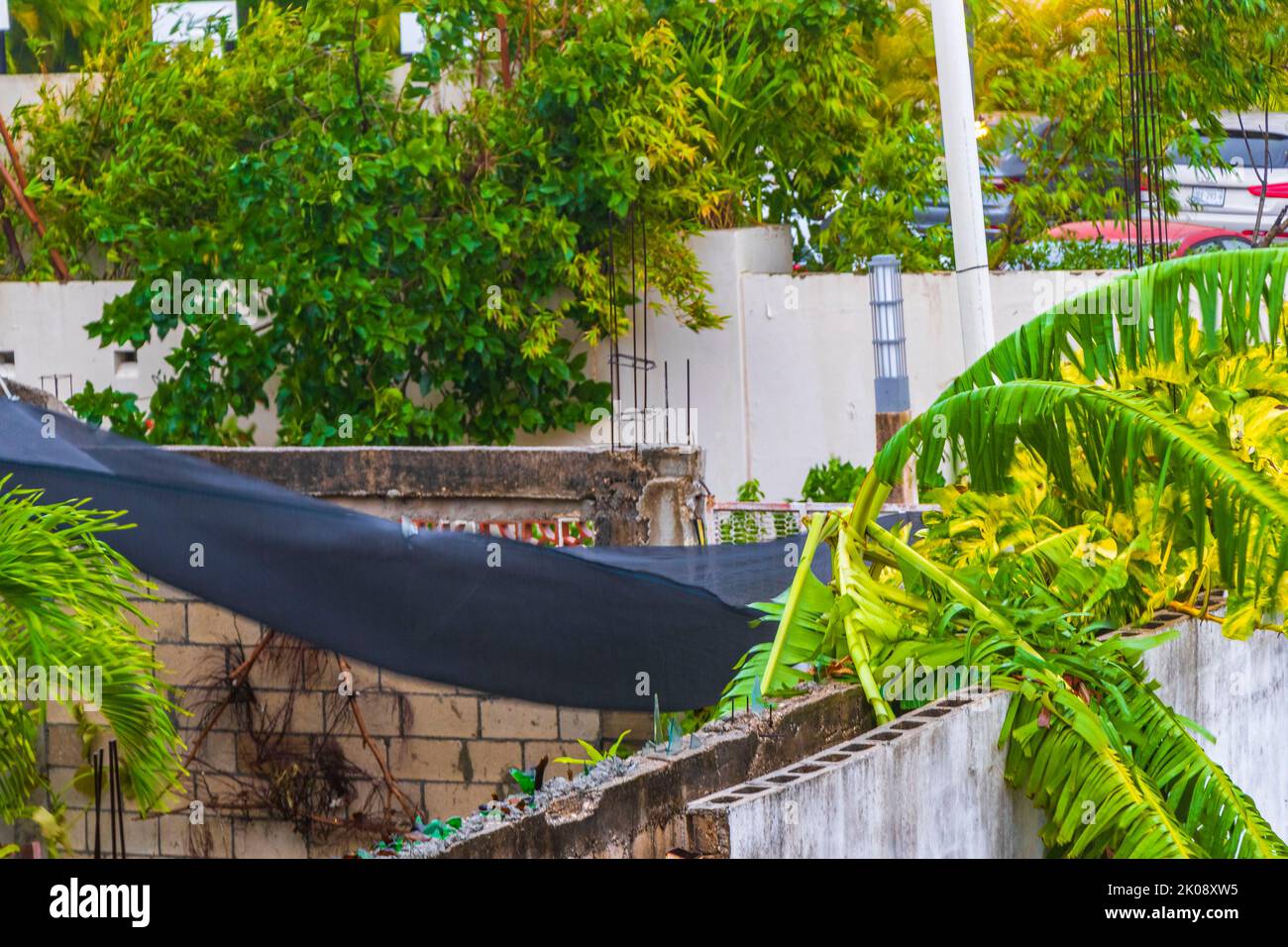 Hurricane 2021 in Playa del Carmen Quintana Roo Mexico extreme wind ...