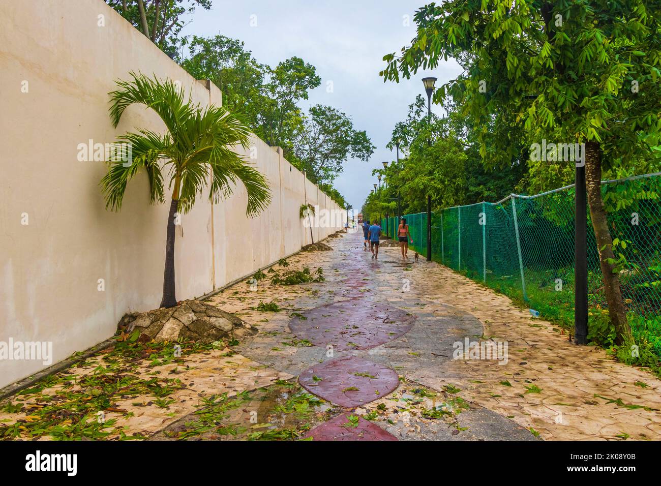 Hurricane 2021 in Playa del Carmen Quintana Roo Mexico extreme wind ...