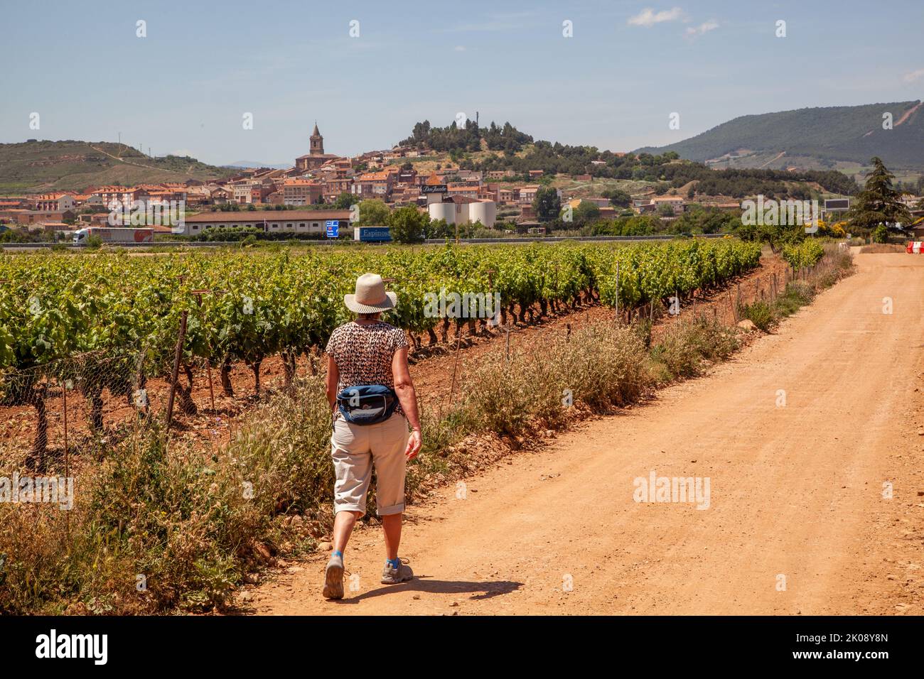 Pilgrims walking through Rioja vineyards while walking the Camino de ...