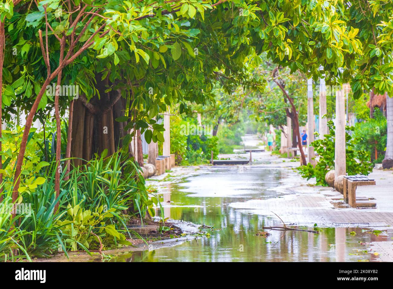 Hurricane 2021 in Playa del Carmen Quintana Roo Mexico extreme wind ...