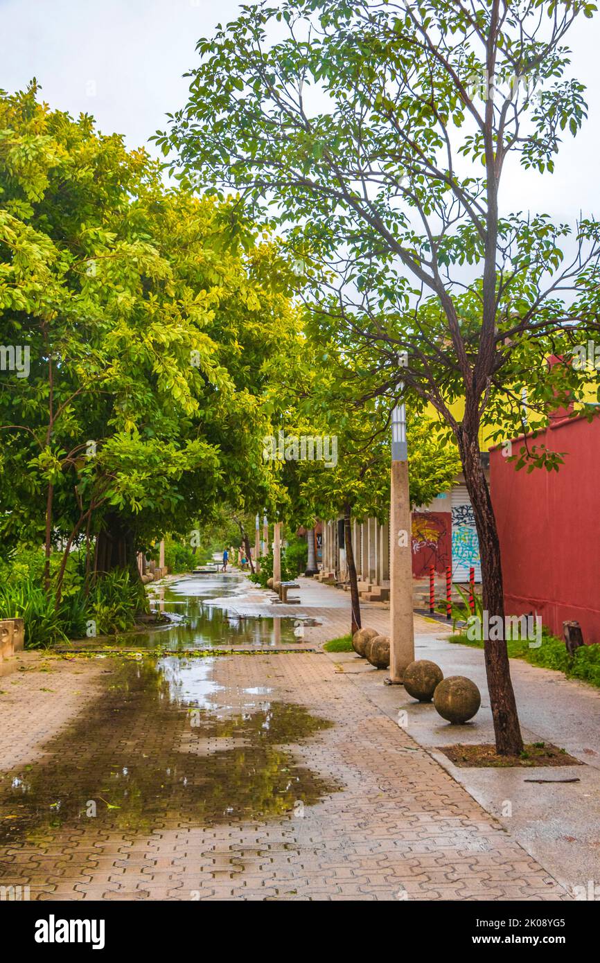 Hurricane 2021 in Playa del Carmen Quintana Roo Mexico extreme wind ...
