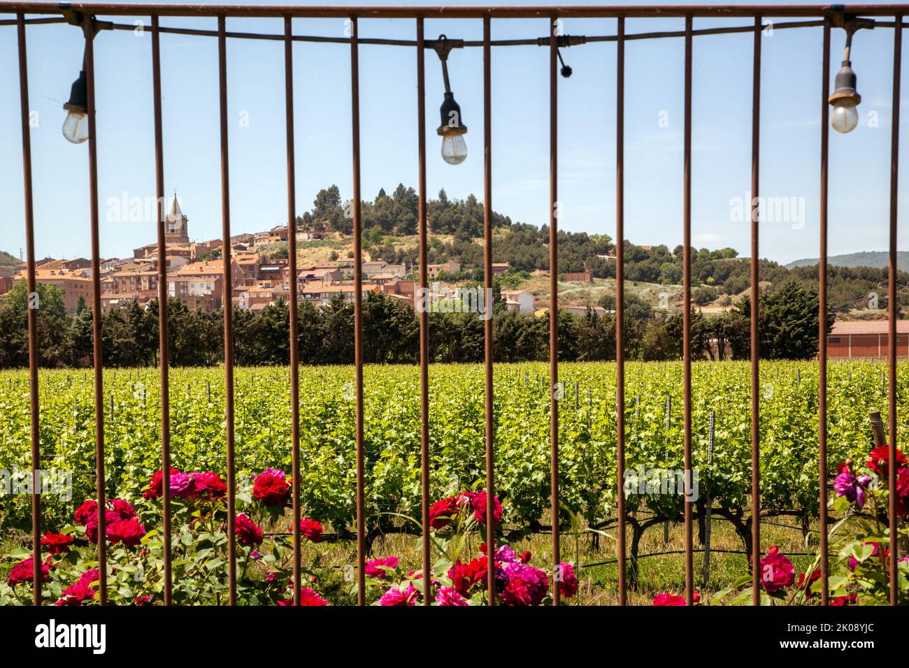 View over vineyards to the Spanish town of Navarrete in the Rioja ...