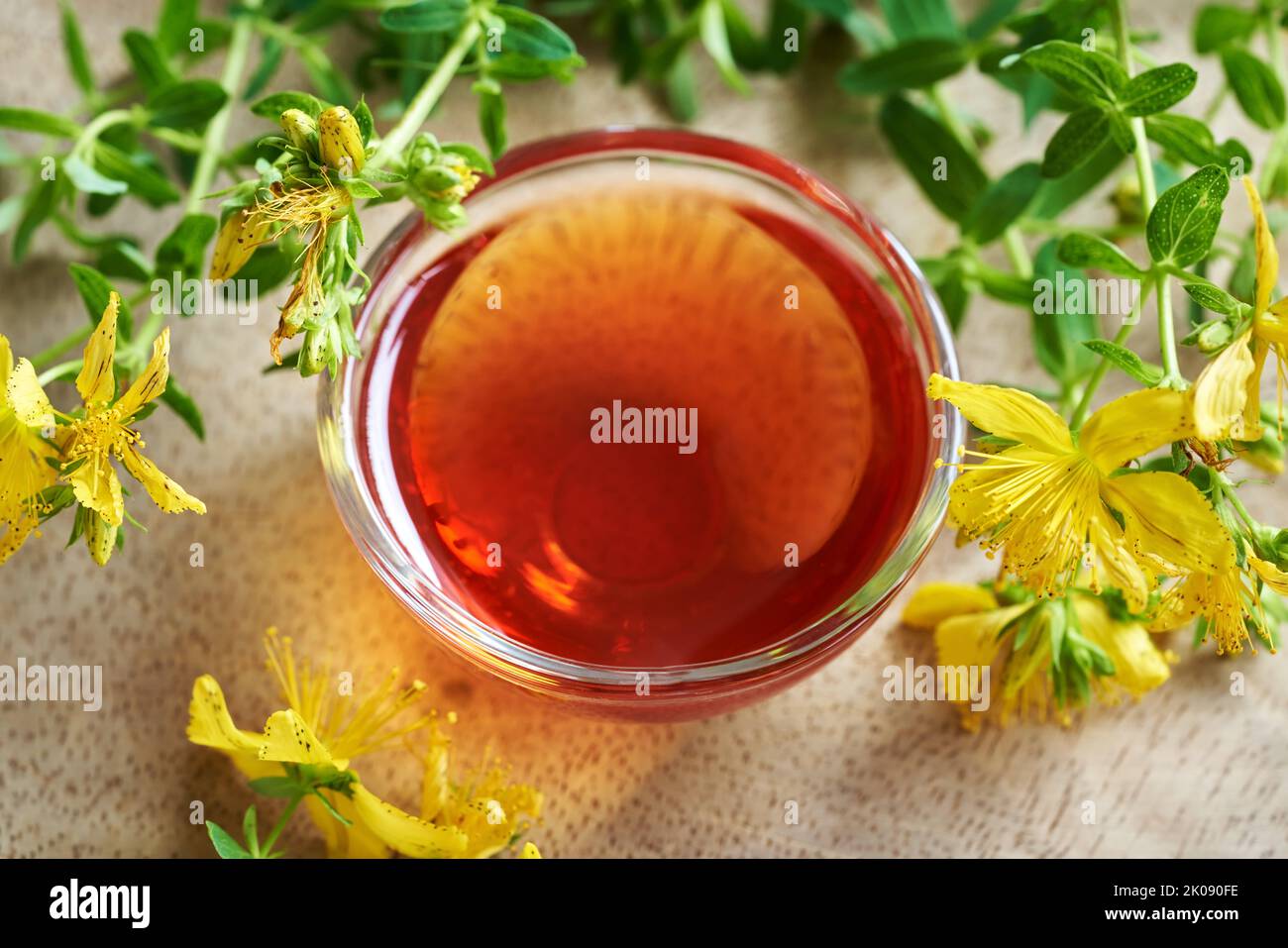 Hypericum perforatum oil hi-res stock photography and images - Alamy