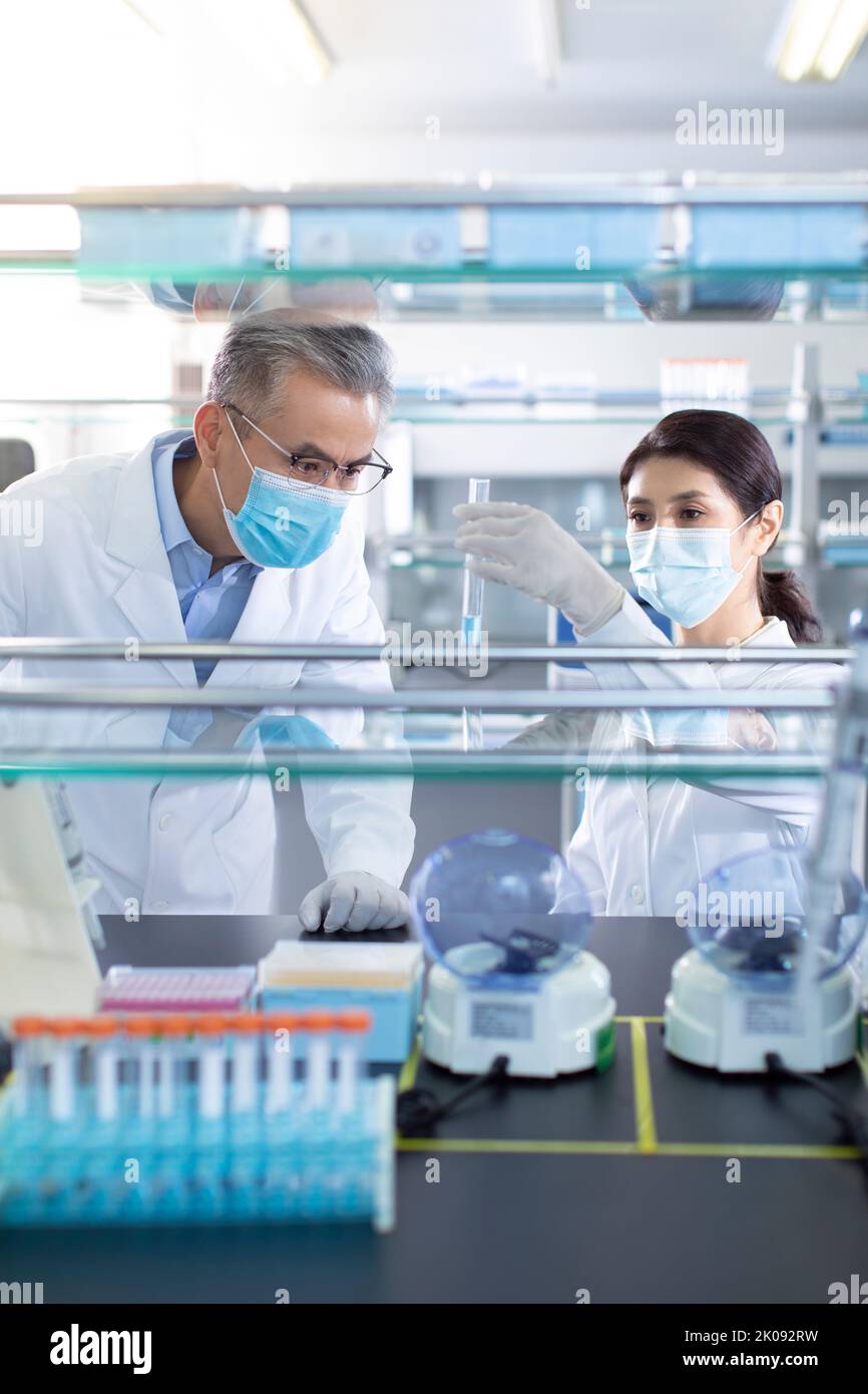 Chinese scientists examining medical sample in laboratory Stock Photo ...