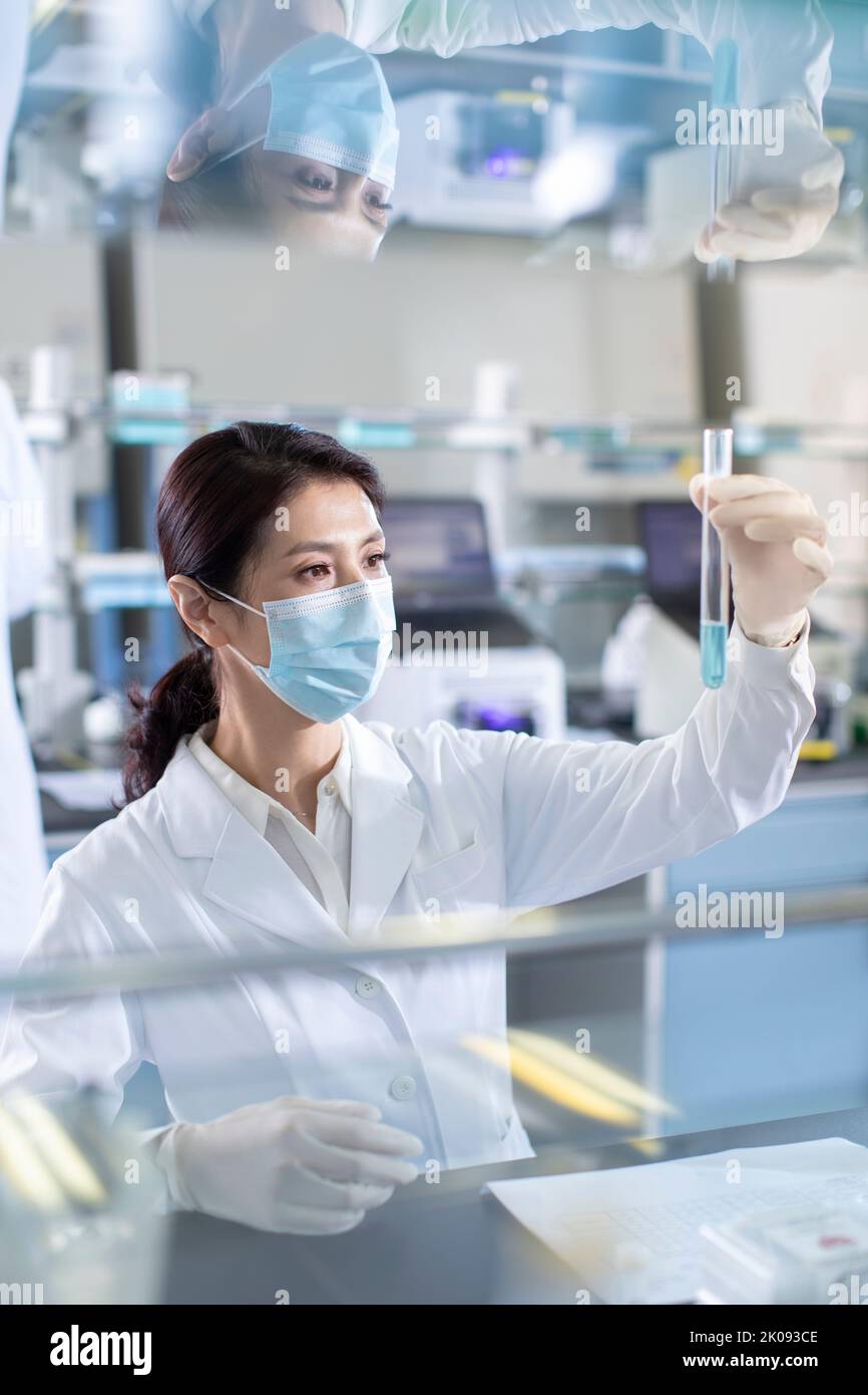 Chinese scientist examining medical sample in laboratory Stock Photo ...
