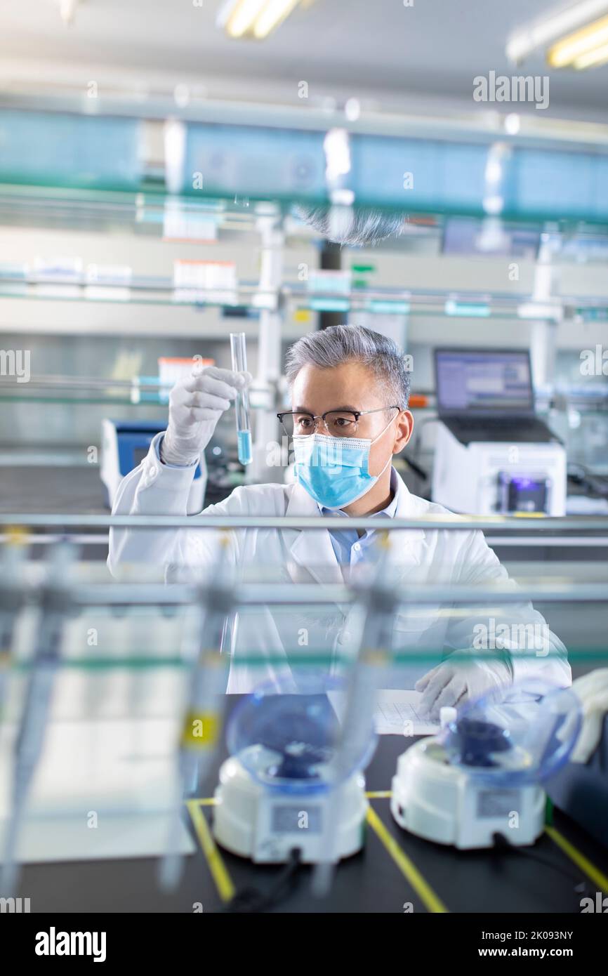 Scientist examining medical sample hi-res stock photography and images ...