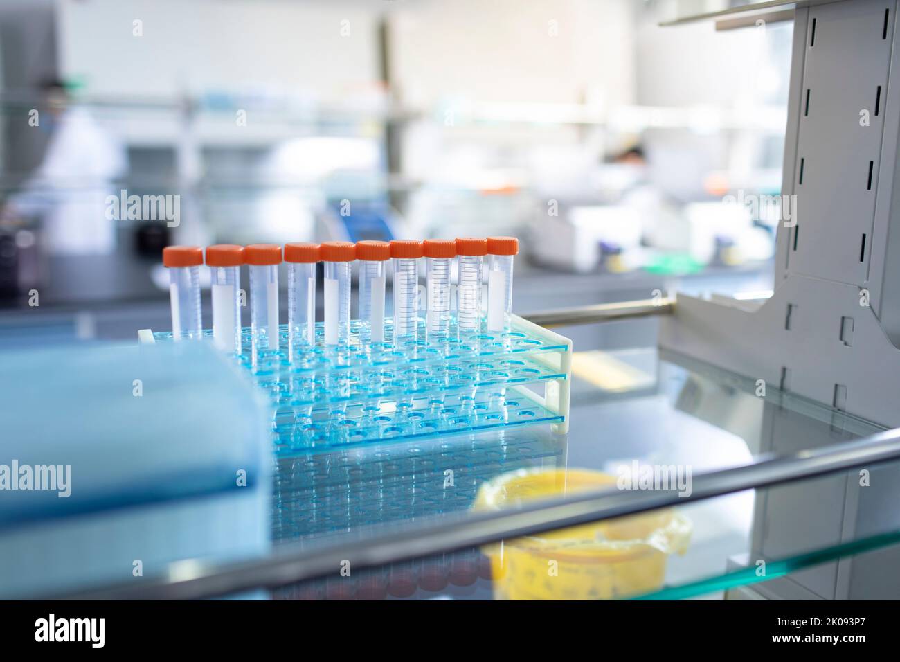 Focus rack test tubes laboratory hi-res stock photography and images ...