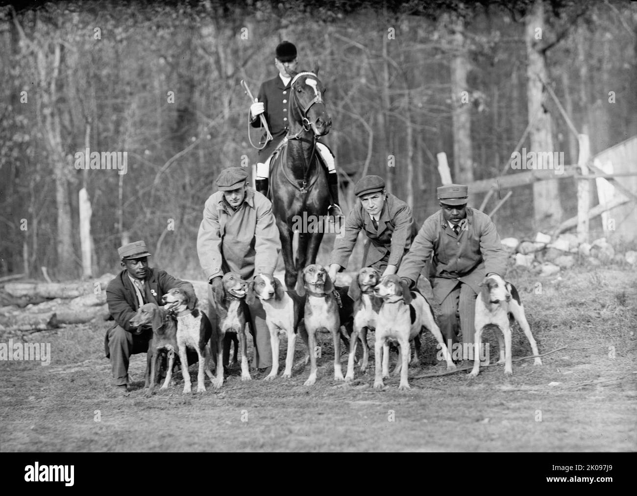 Edgewood Hunt, James Murphy, M.F.H. [master of foxhounds], 1912 Stock ...