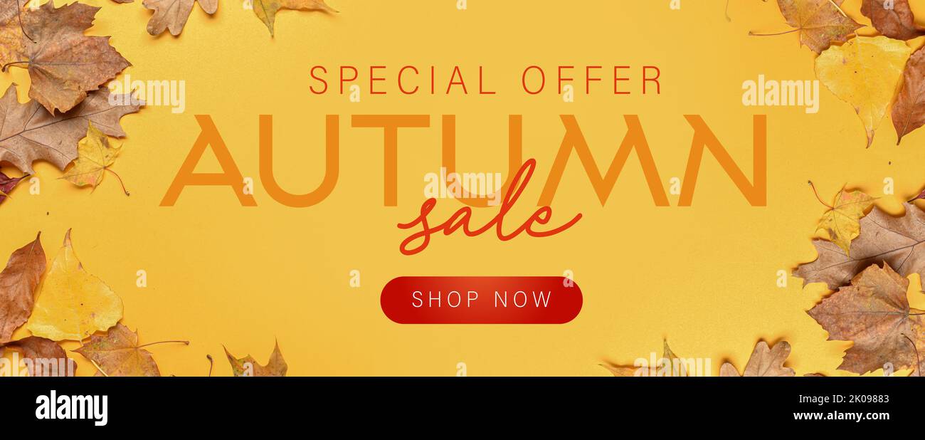 Banner for autumn sale with dry leaves on yellow background Stock Photo ...