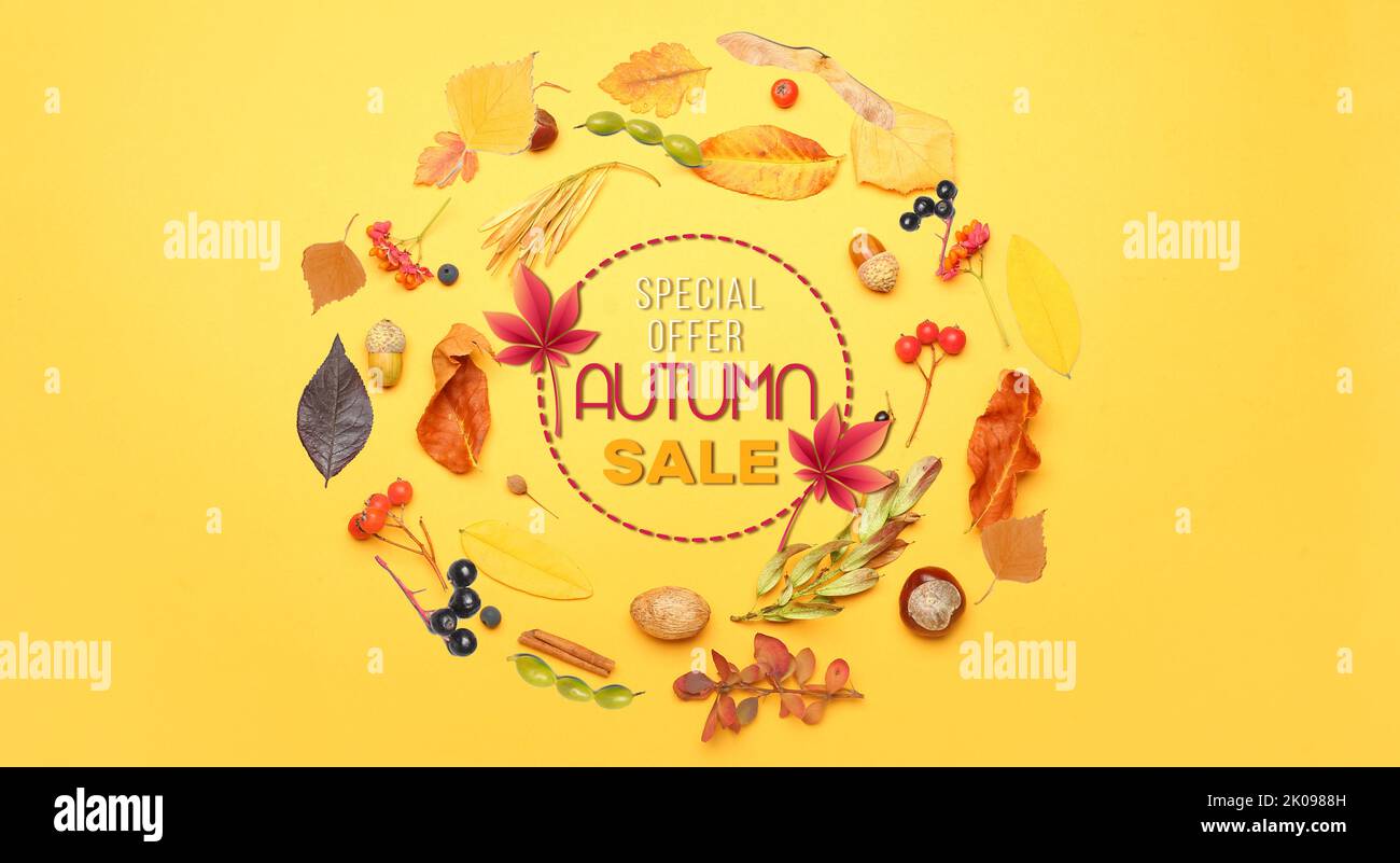 Banner for autumn sale with dry leaves on yellow background Stock Photo ...
