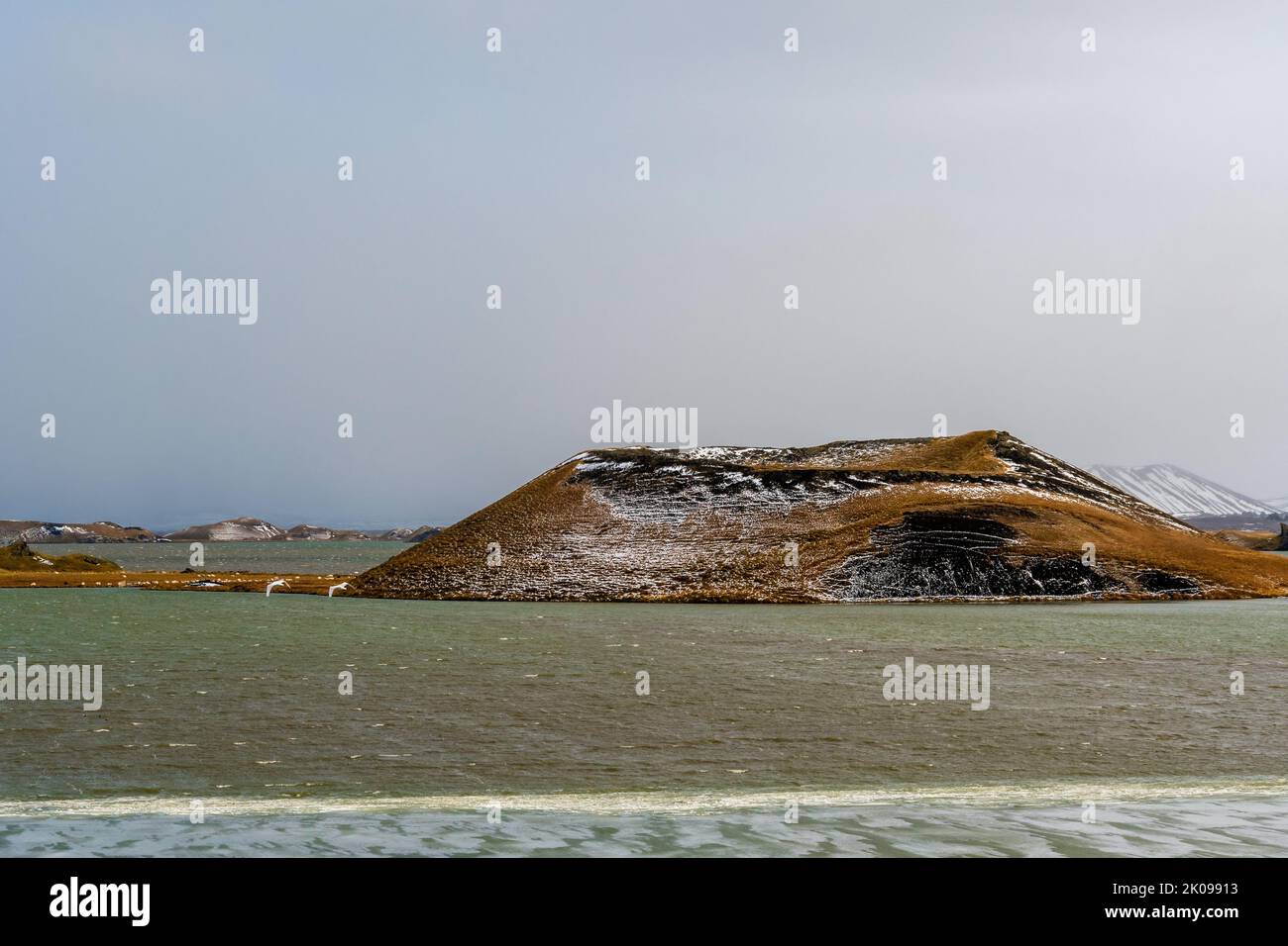 Icelandic blueberry hi-res stock photography and images - Alamy
