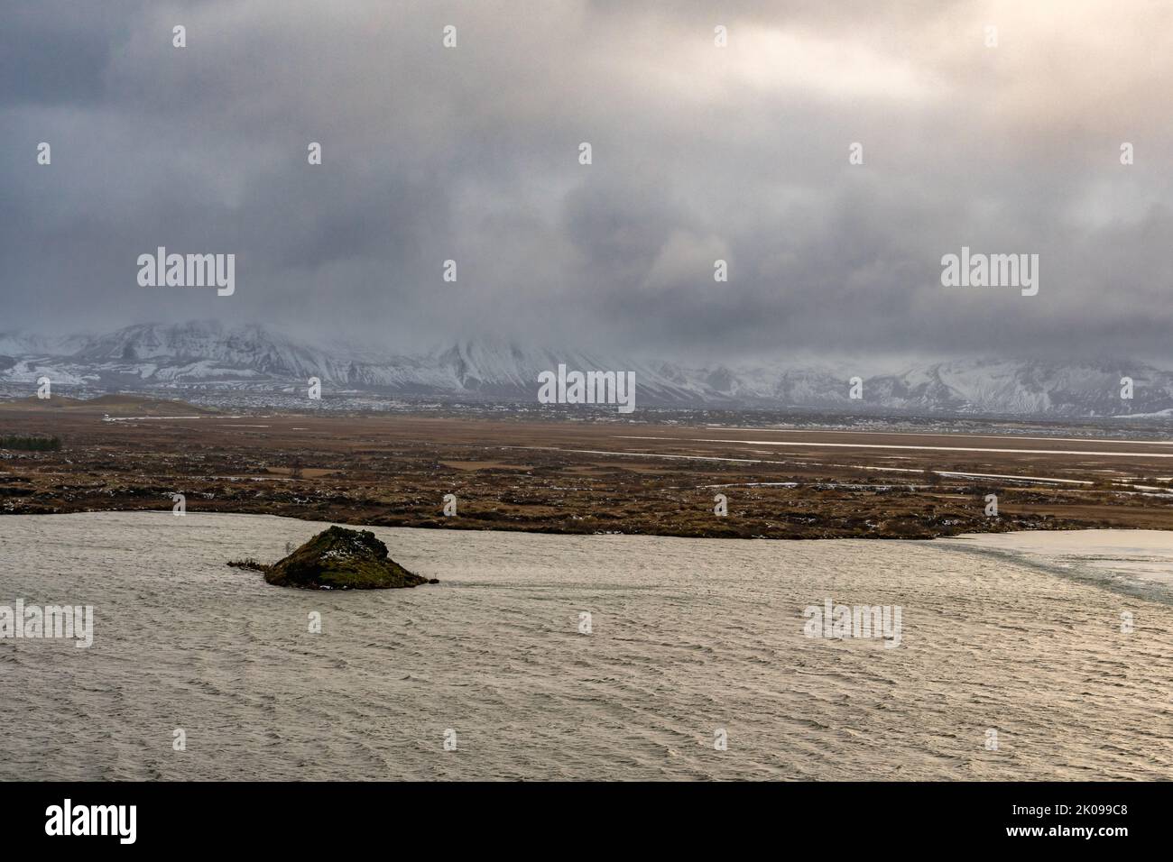 Icelandic blueberry hi-res stock photography and images - Alamy