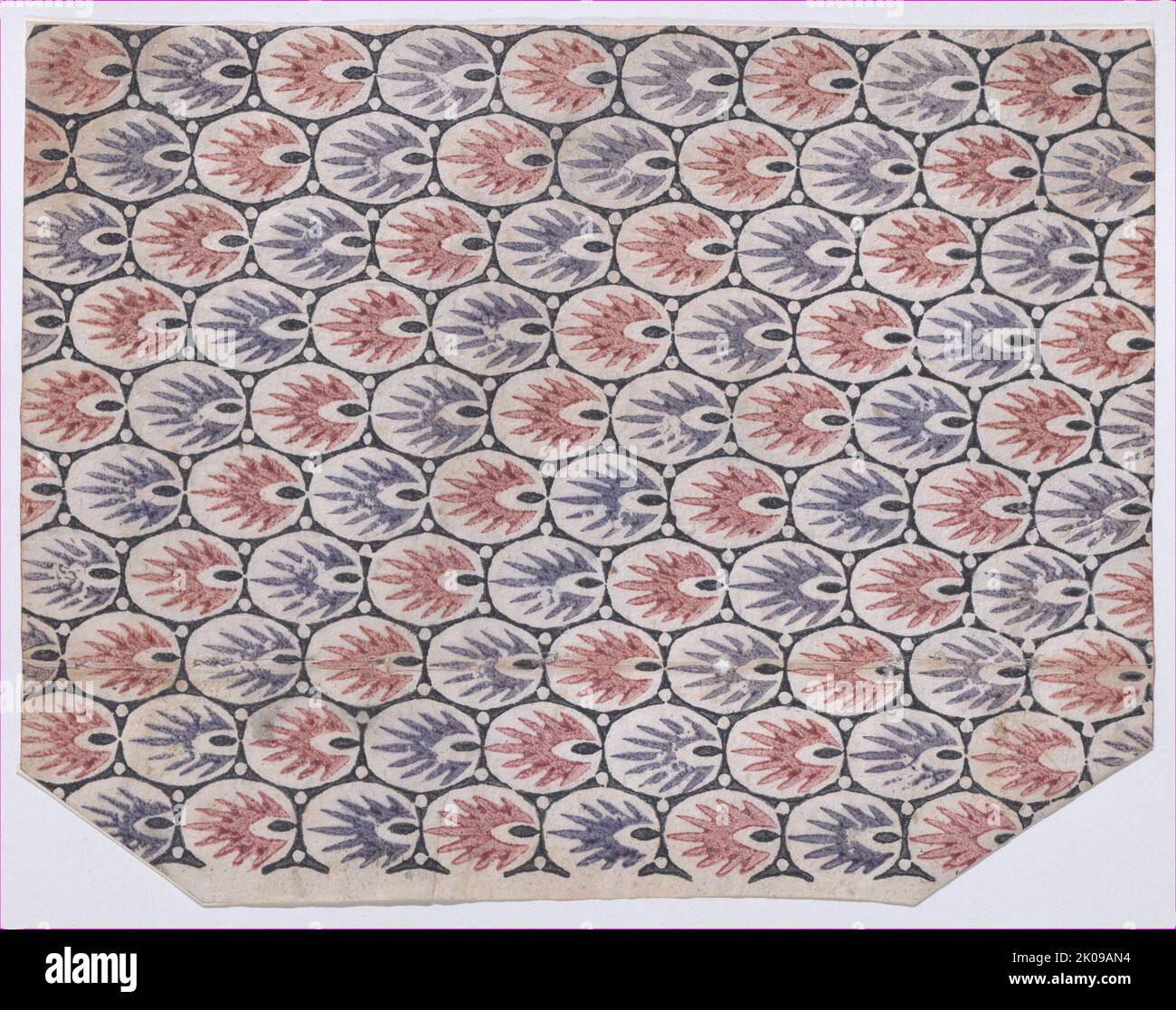 Pointed oval within hi-res stock photography and images - Alamy