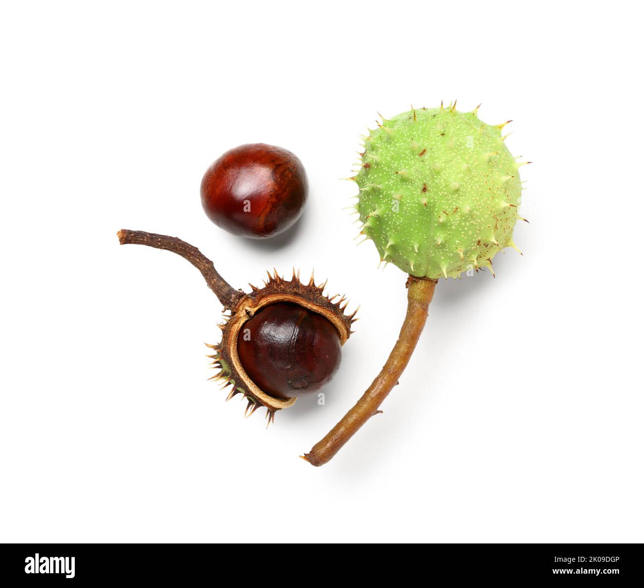 Chestnuts with shells on white background Stock Photo - Alamy