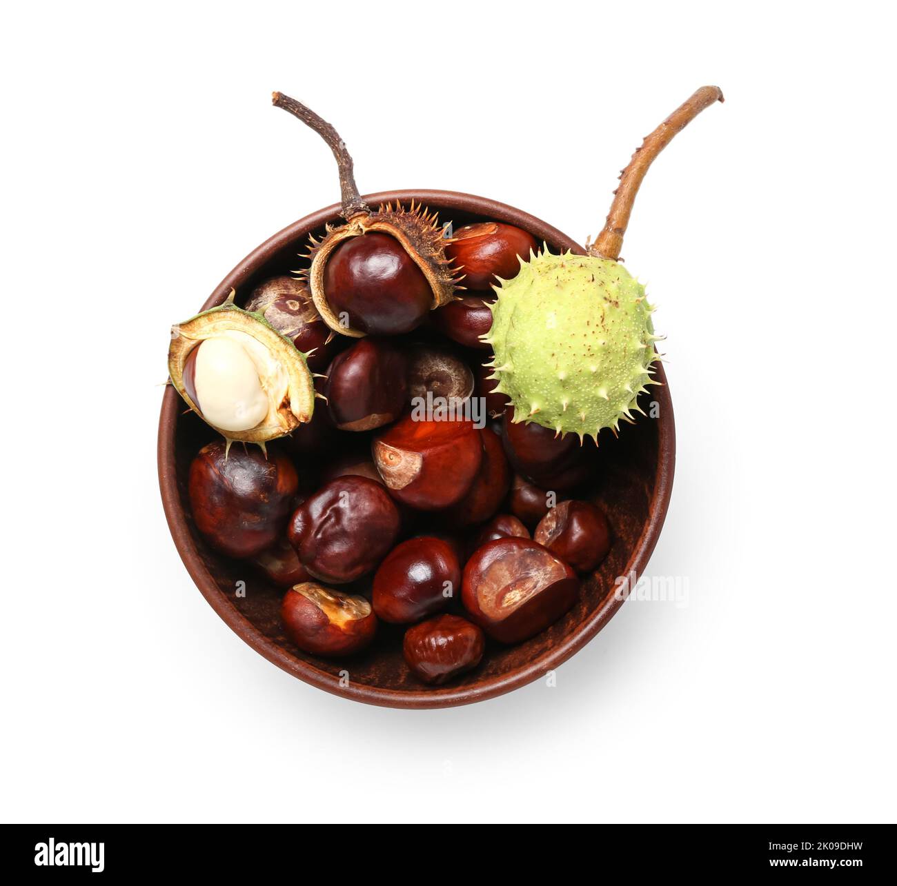 Nuts seed prickly Cut Out Stock Images & Pictures - Alamy