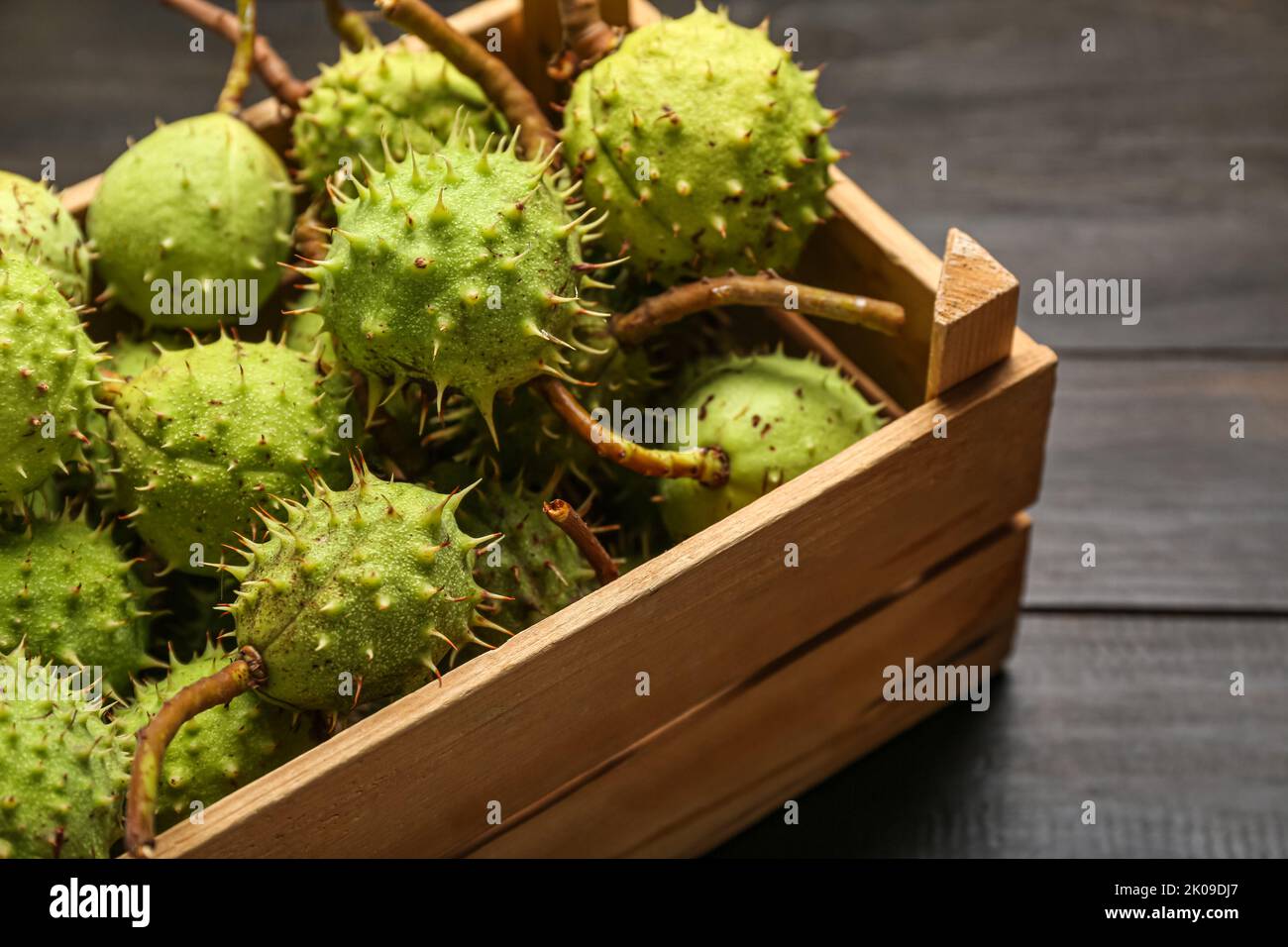 Box with chestnuts on dark wooden background Stock Photo - Alamy