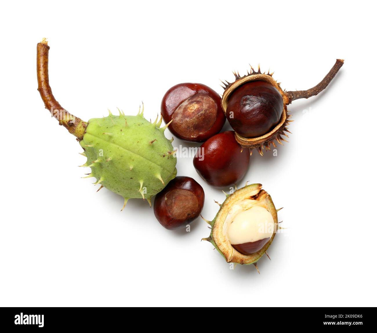 Fresh chestnuts with shells on white background Stock Photo - Alamy