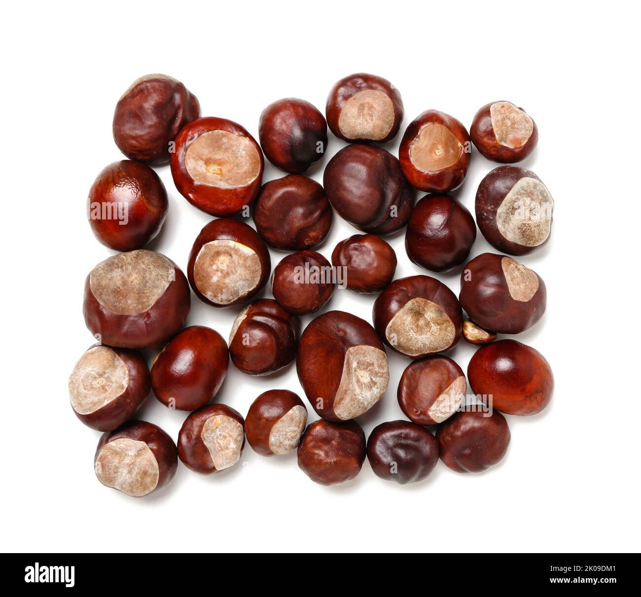 Nuts seed prickly Cut Out Stock Images & Pictures - Alamy