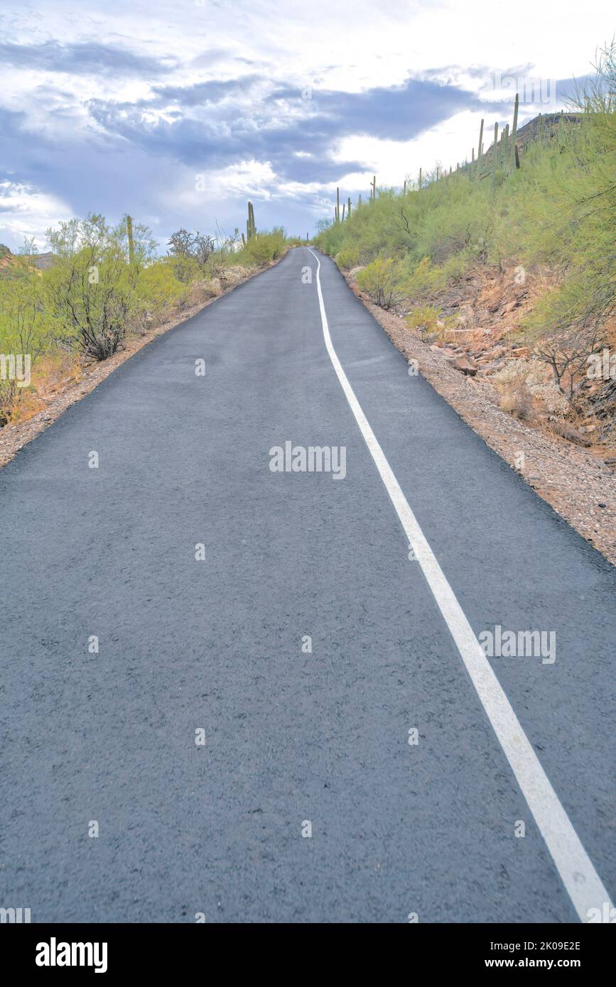 Concrete bike path and walking pathway at Tucson, Arizona. Asphalt ...