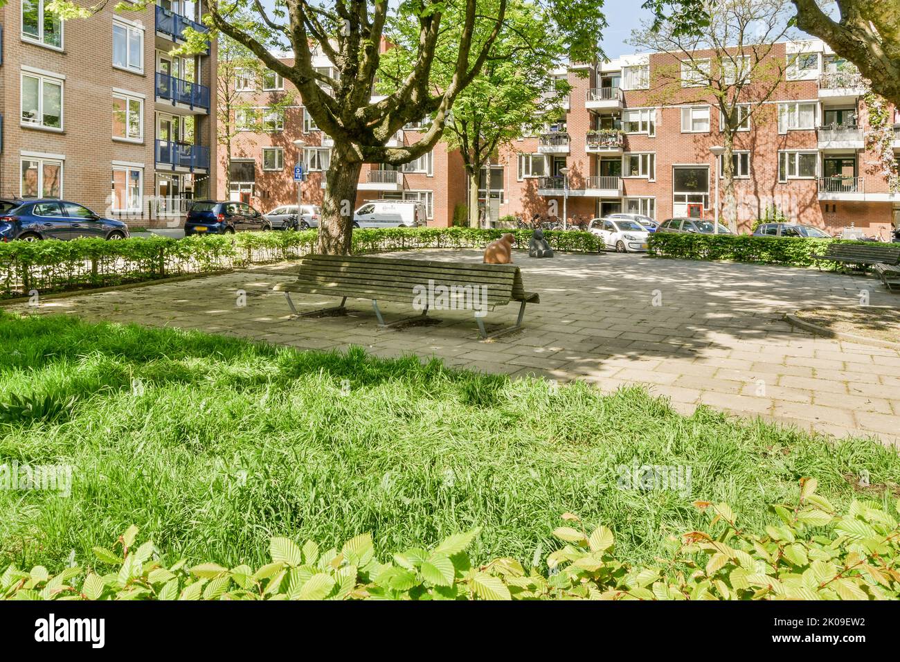 View of street near building with beauty of vegetation outside Stock ...