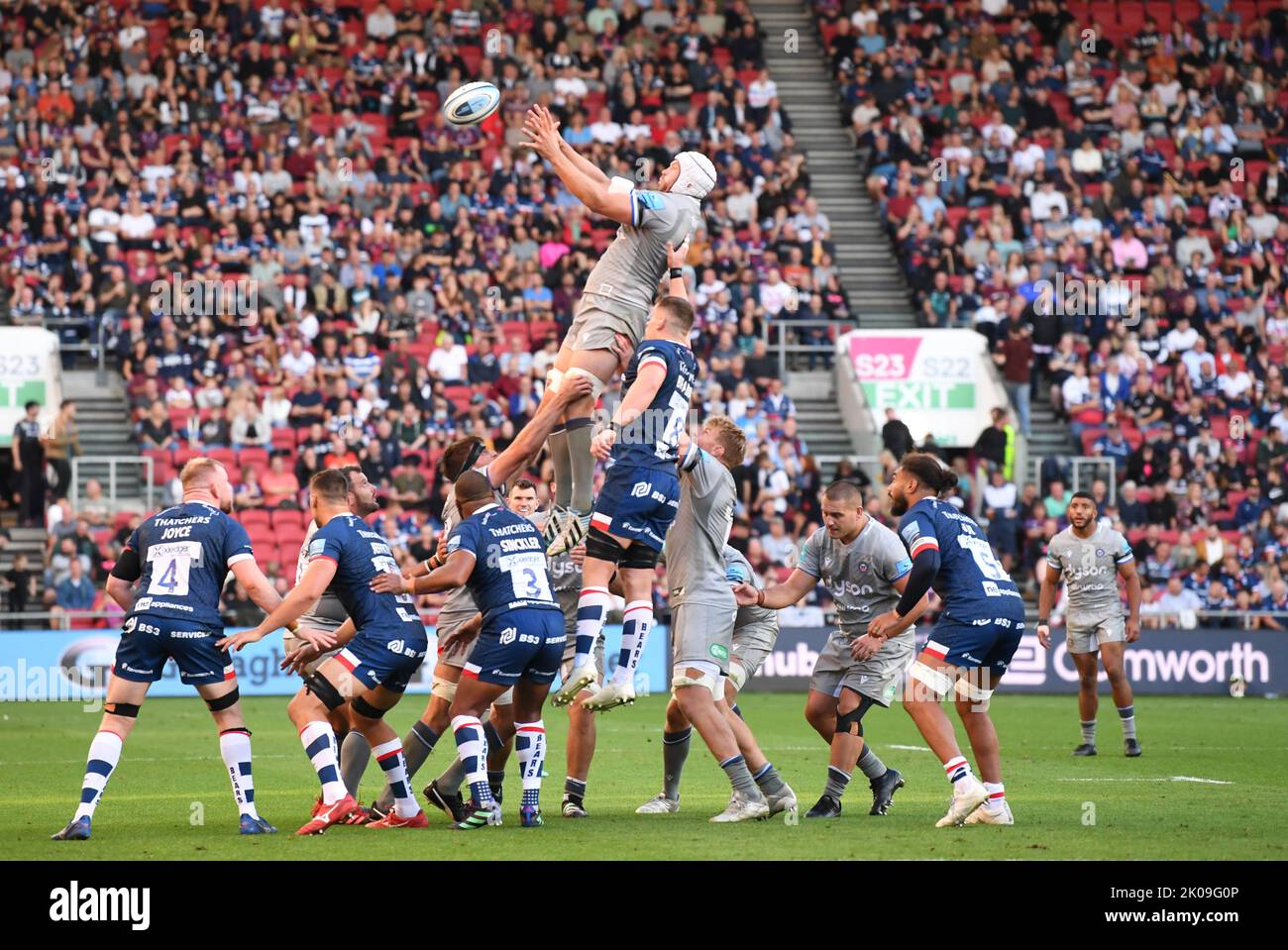 Dave gallaher rugby hi-res stock photography and images - Alamy