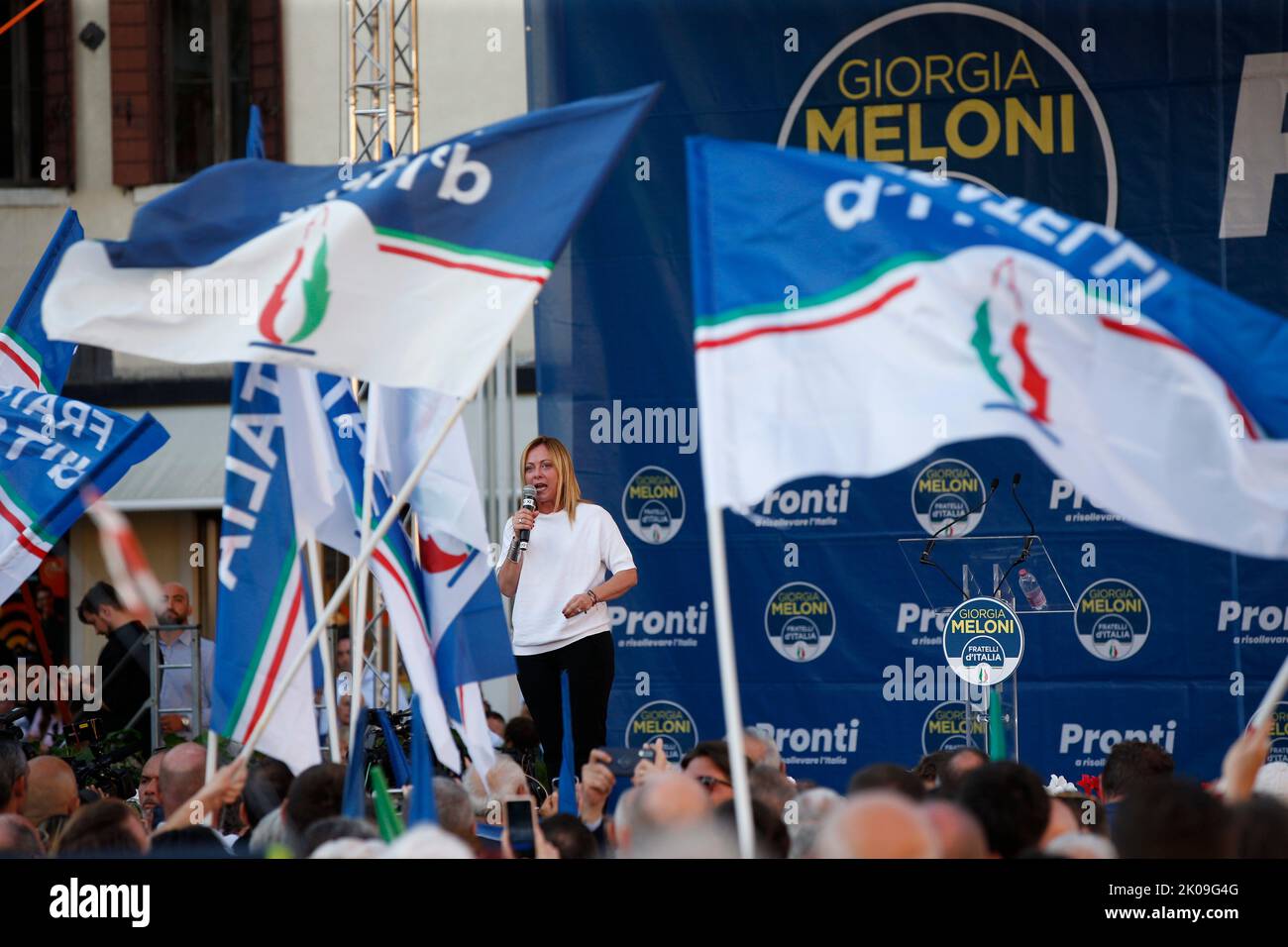 Brothers Of Italy at Frank Keith blog