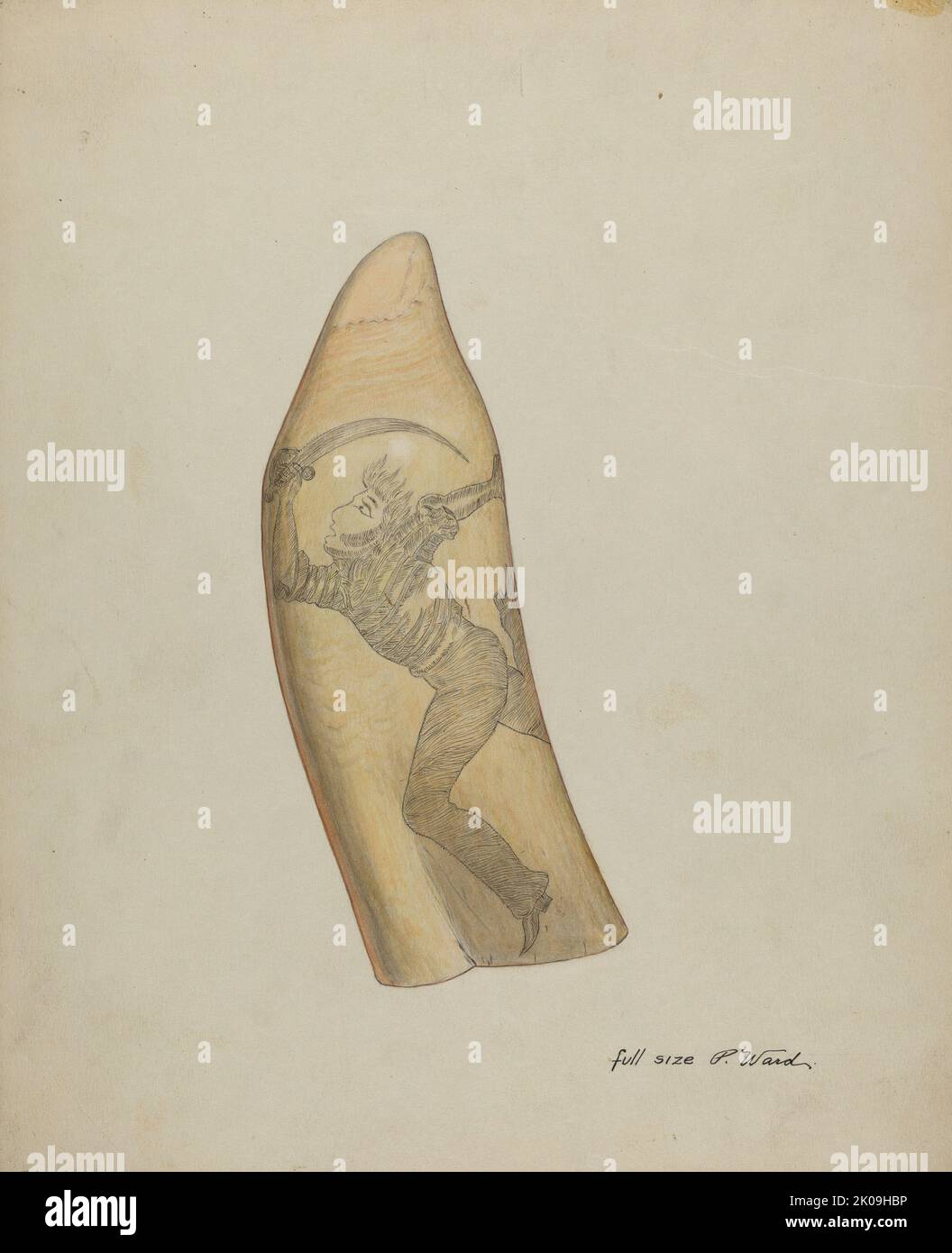 Engraved scrimshaw hi-res stock photography and images - Alamy