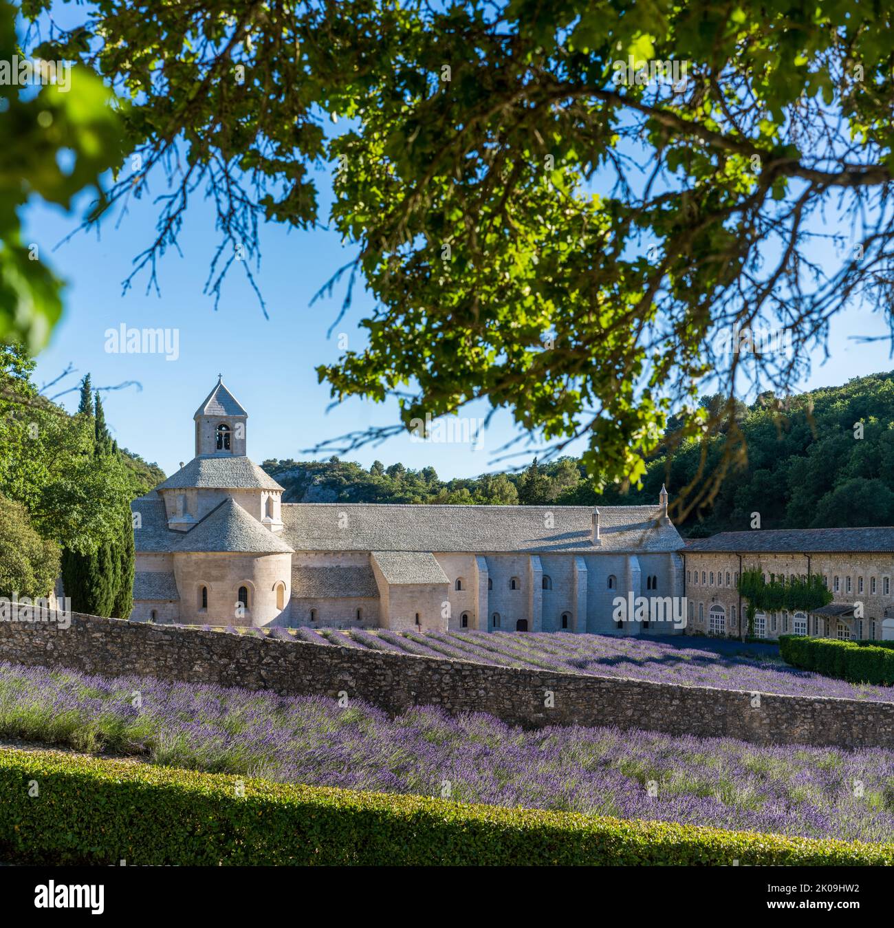 Abbaye Senanque, Provence, France, Europe Stock Photo - Alamy