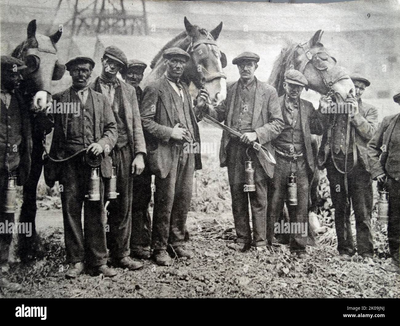 Welsh coal miners with pit ponies in 1940 Stock Photo - Alamy