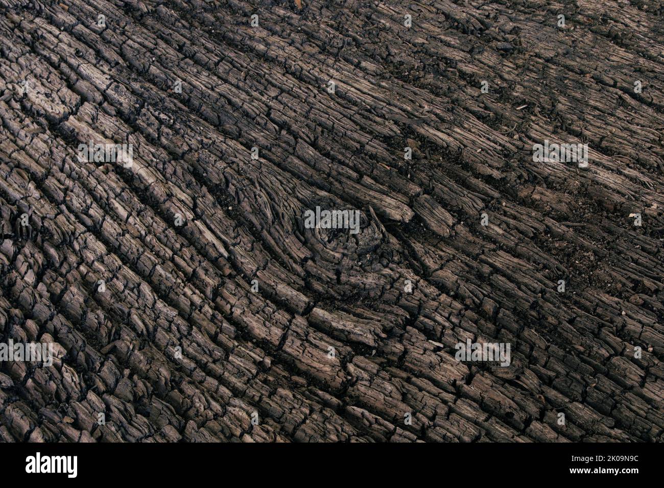 Close up simply seamless background wallpaper with weathered timber ...