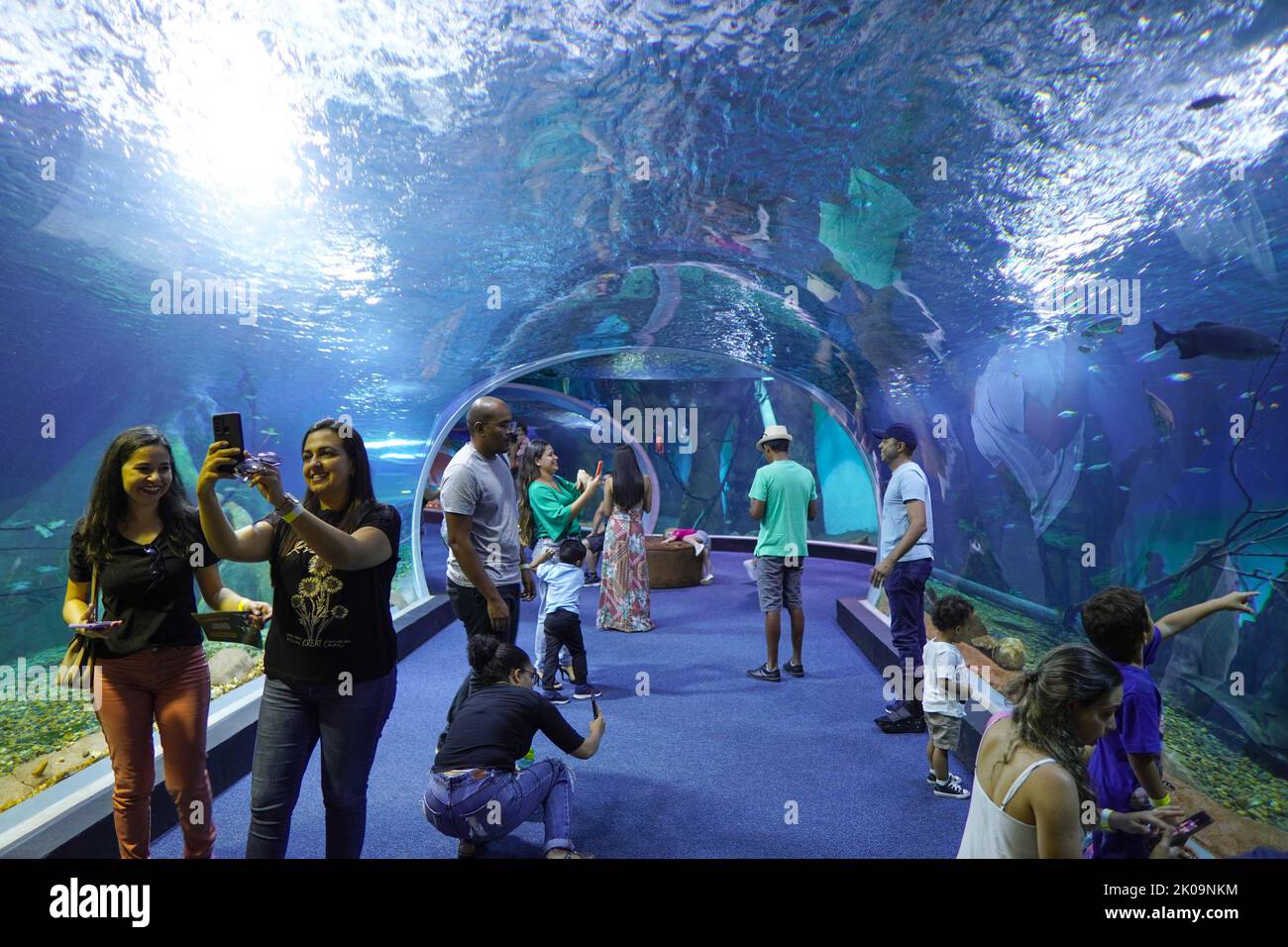 Visitors observe one of the aquariums at Bioparque Pantanal (Pantanal ...