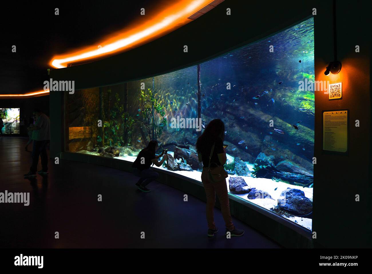 Visitors observe one of the aquariums at Bioparque Pantanal (Pantanal ...