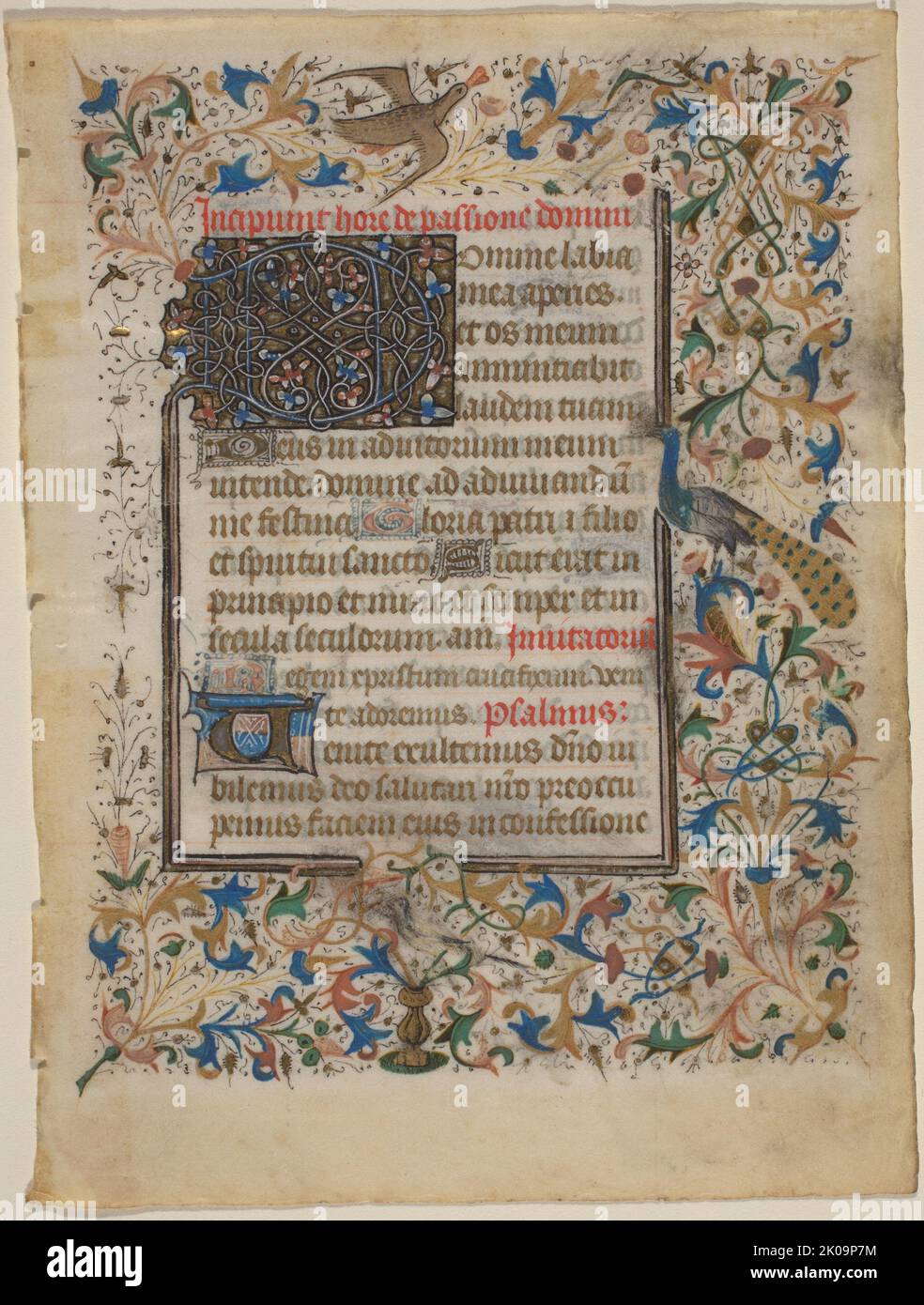 French manuscript bird hi-res stock photography and images - Alamy