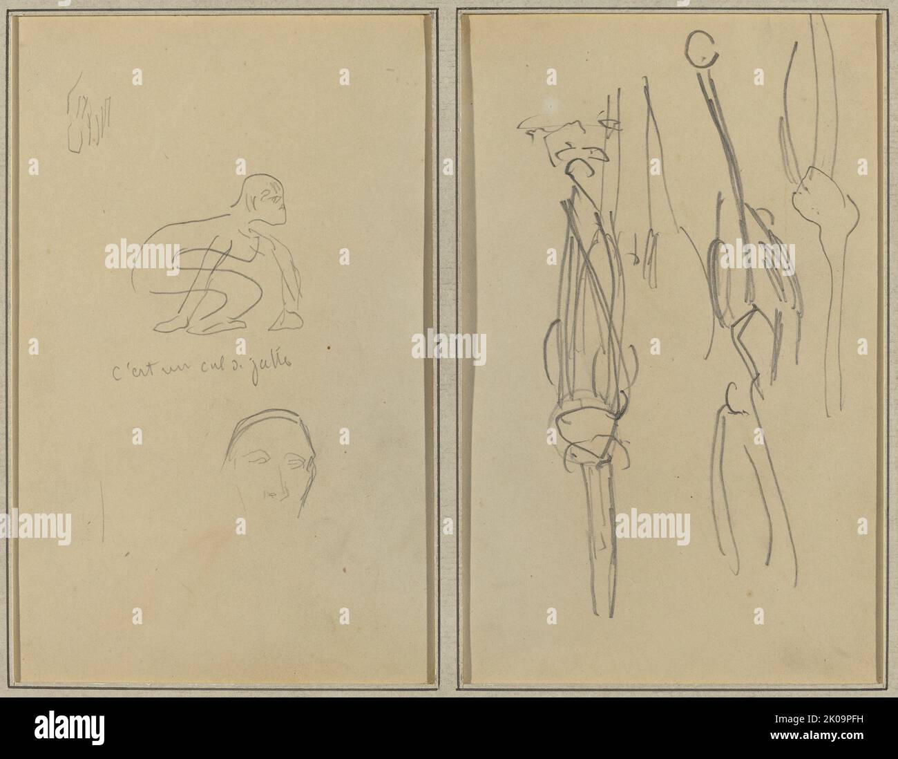 Crouching Monkey and Man's Head; Bones and Muscles [verso], 1884-1888 ...
